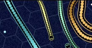 Gulper.io - Gulperio