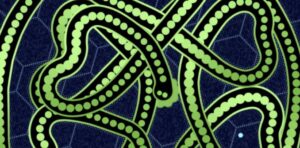 Gulper.io - Gulperio